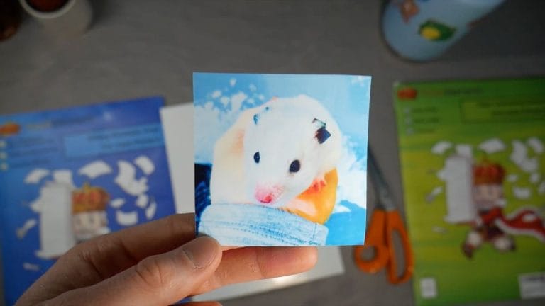 How to Make Stickers from Your Photos - Royal Elements